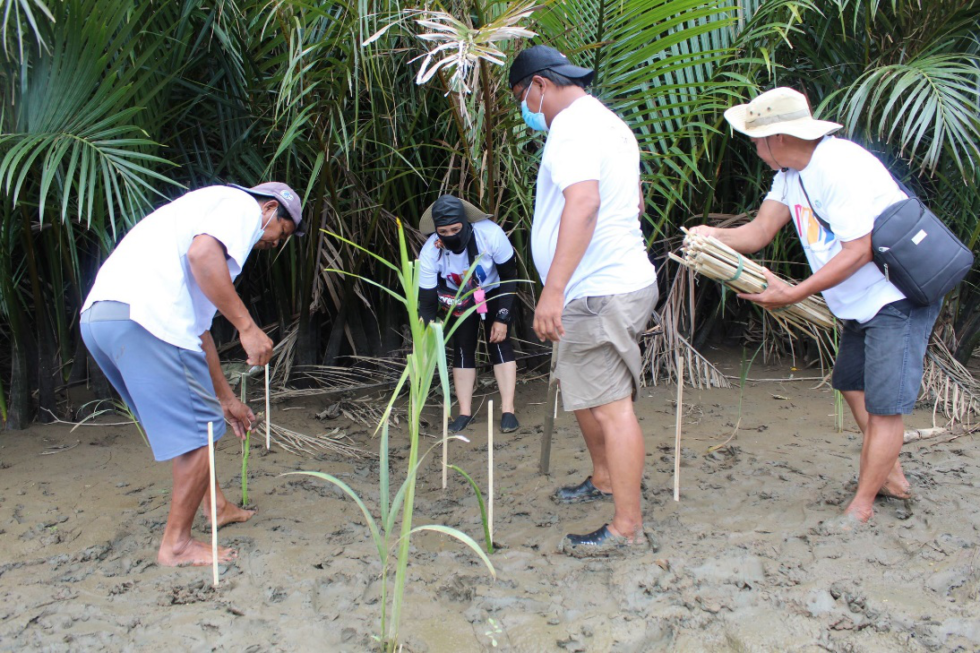 A1E continues its support to mangrove planting activities - Meralco ...